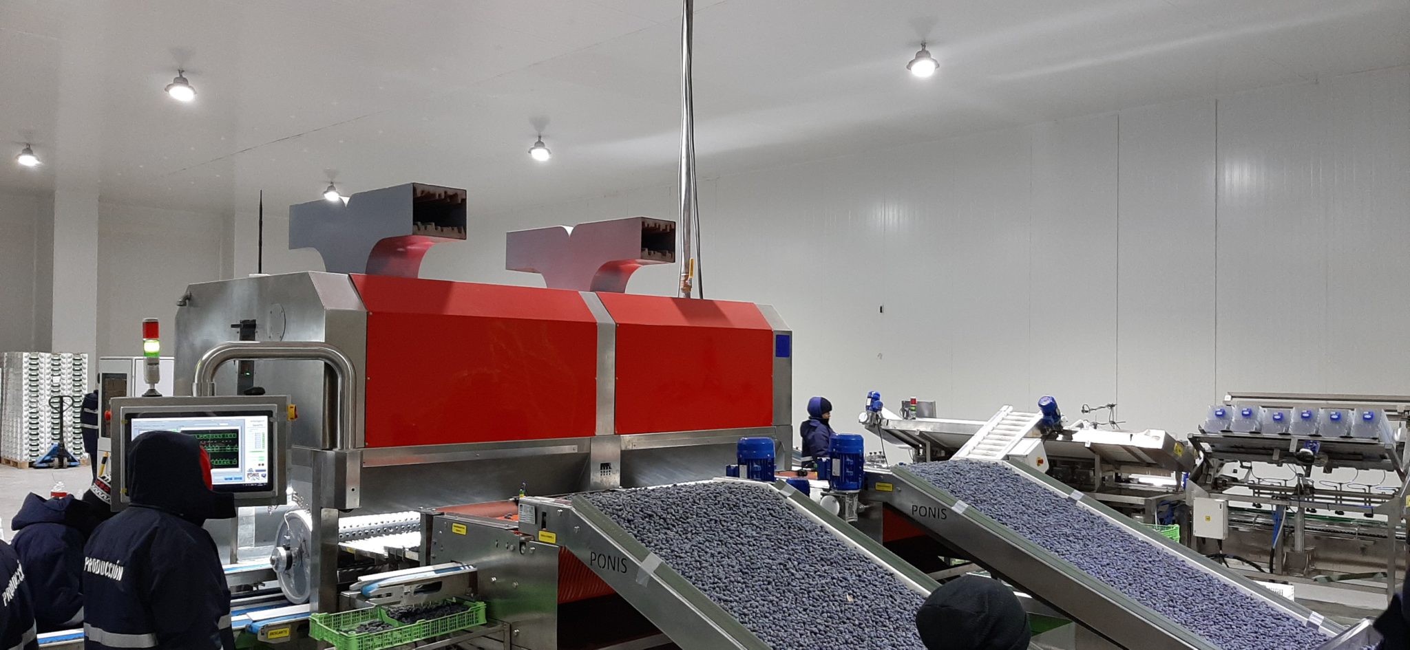 Optical Grader IQ – PONIS